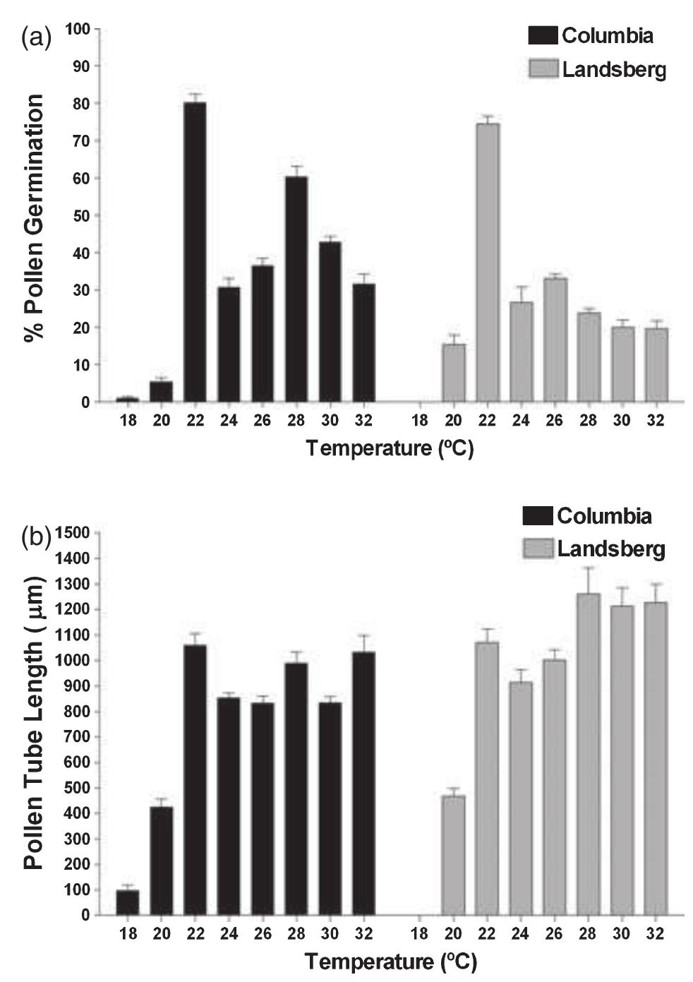 Effect of temperature on pollen germination rate and pollen