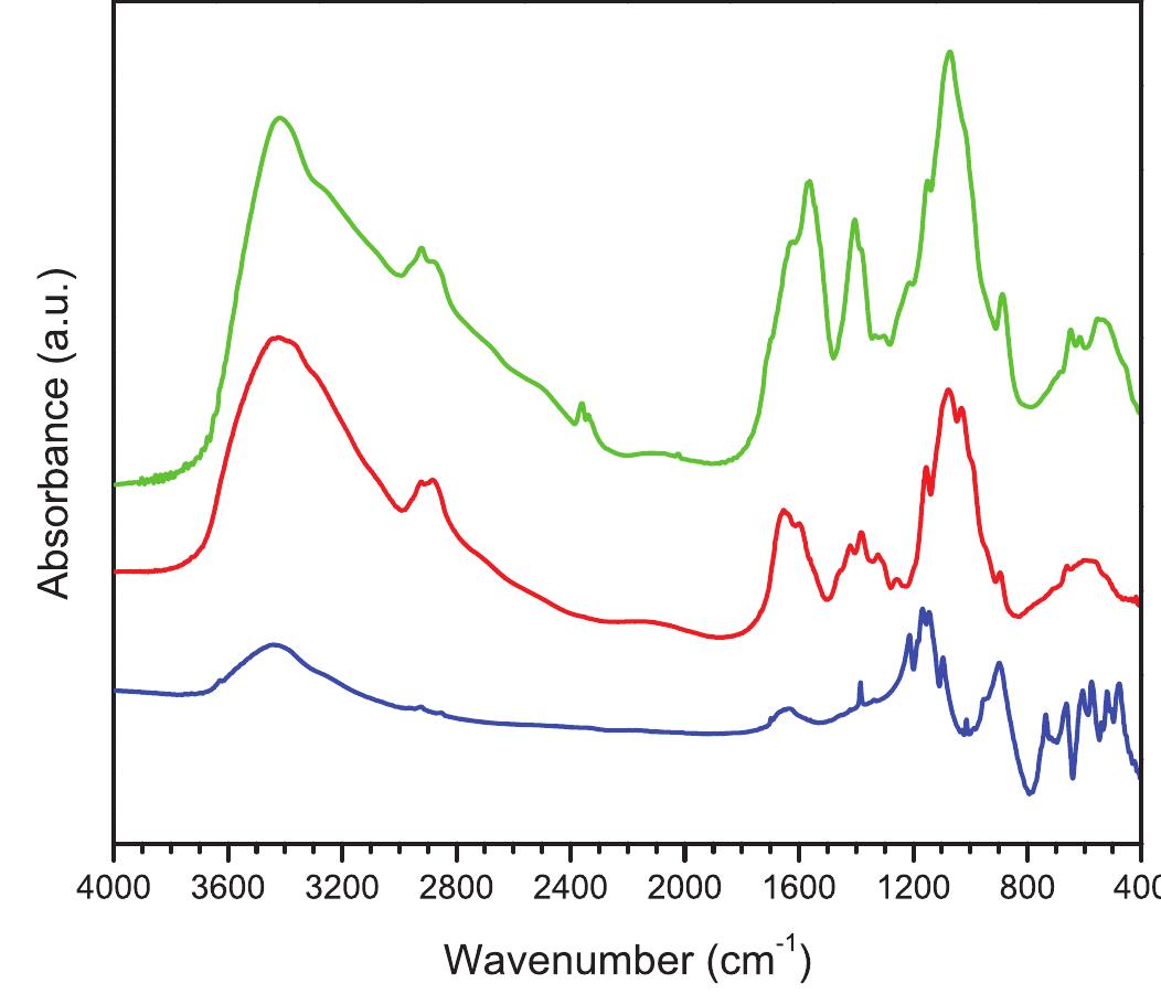 Infrared spectra of, (am. ) tpp, (— ) chitosan and (— )
