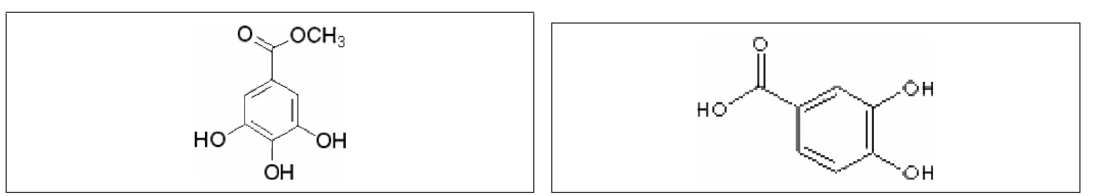 chemical structure of protocatechuic acid. figure