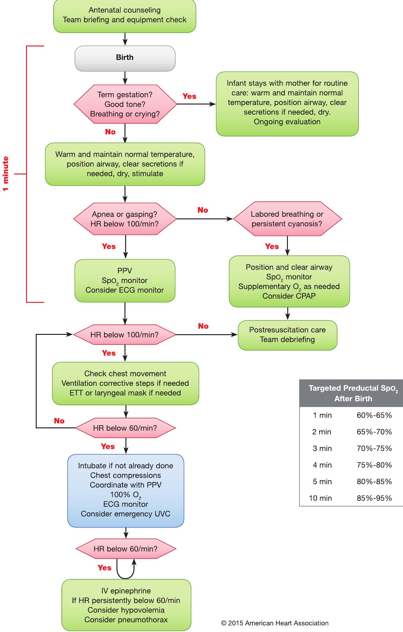 Neonatal resuscitation algorithm—2015 update figure 1.