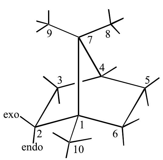 Structure and numbering of bornane backbone. the carbons