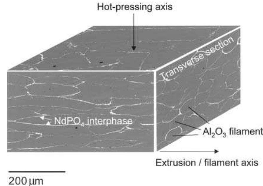 18. the microstructure of a ‘fibrous monolith’ oxide ceramic