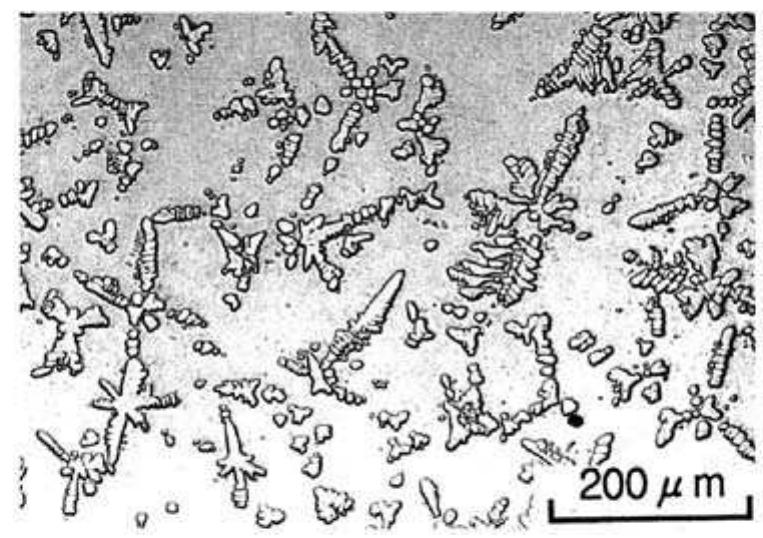 3. microstructure of 15cr (as-cast). as shown in figure
