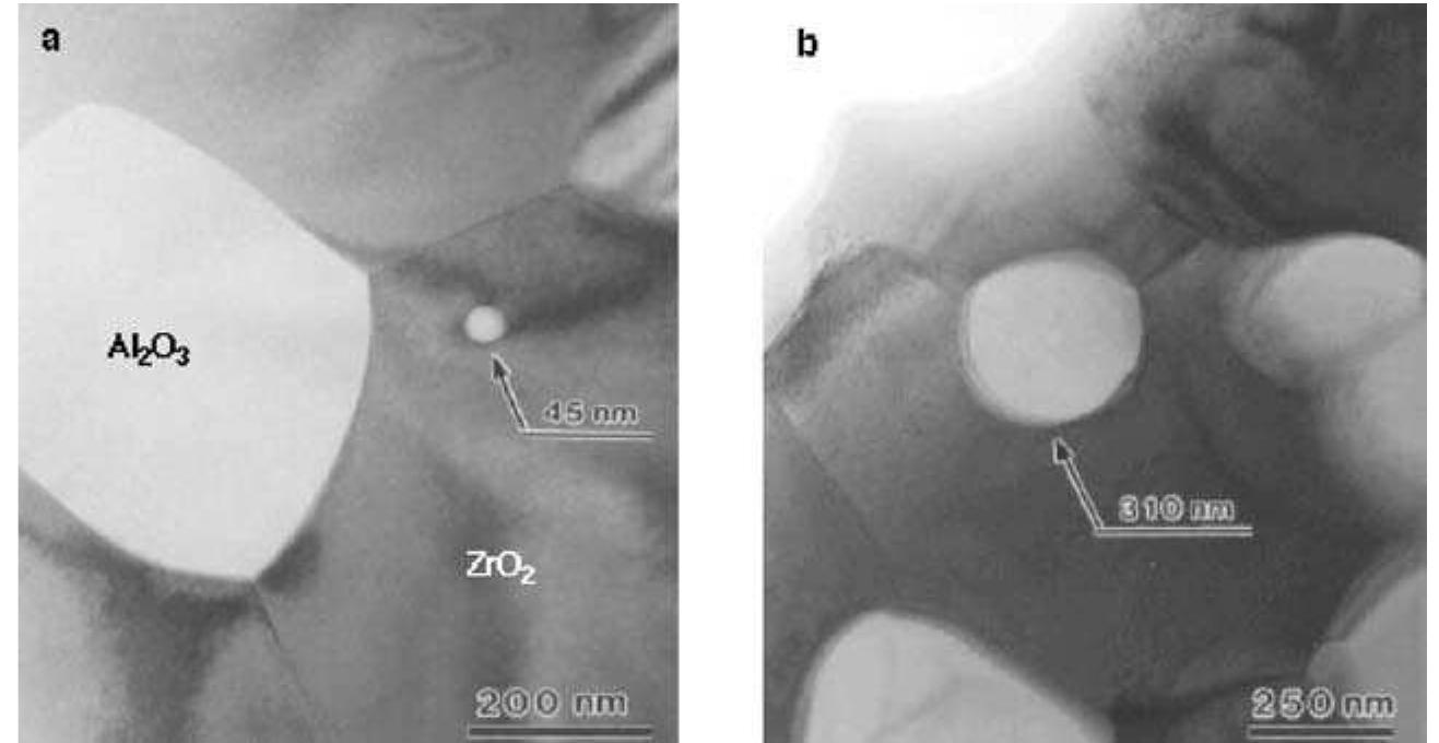 12. transmission electron microscope images of the different