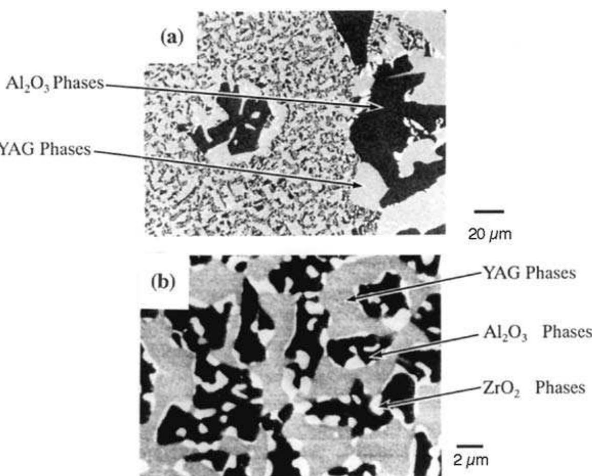 6. scanning electron microscope images showing the