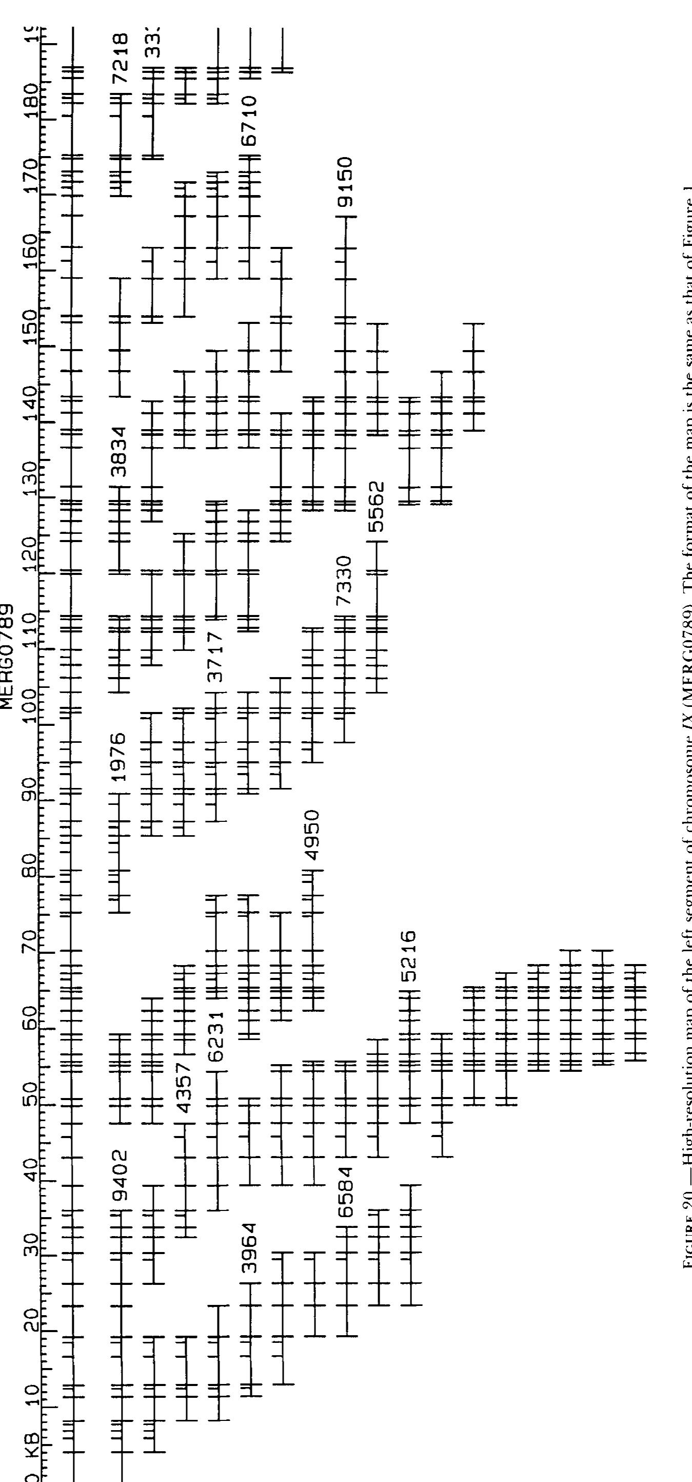 Figure 32 - Physical maps of the six smallest chromosomes of