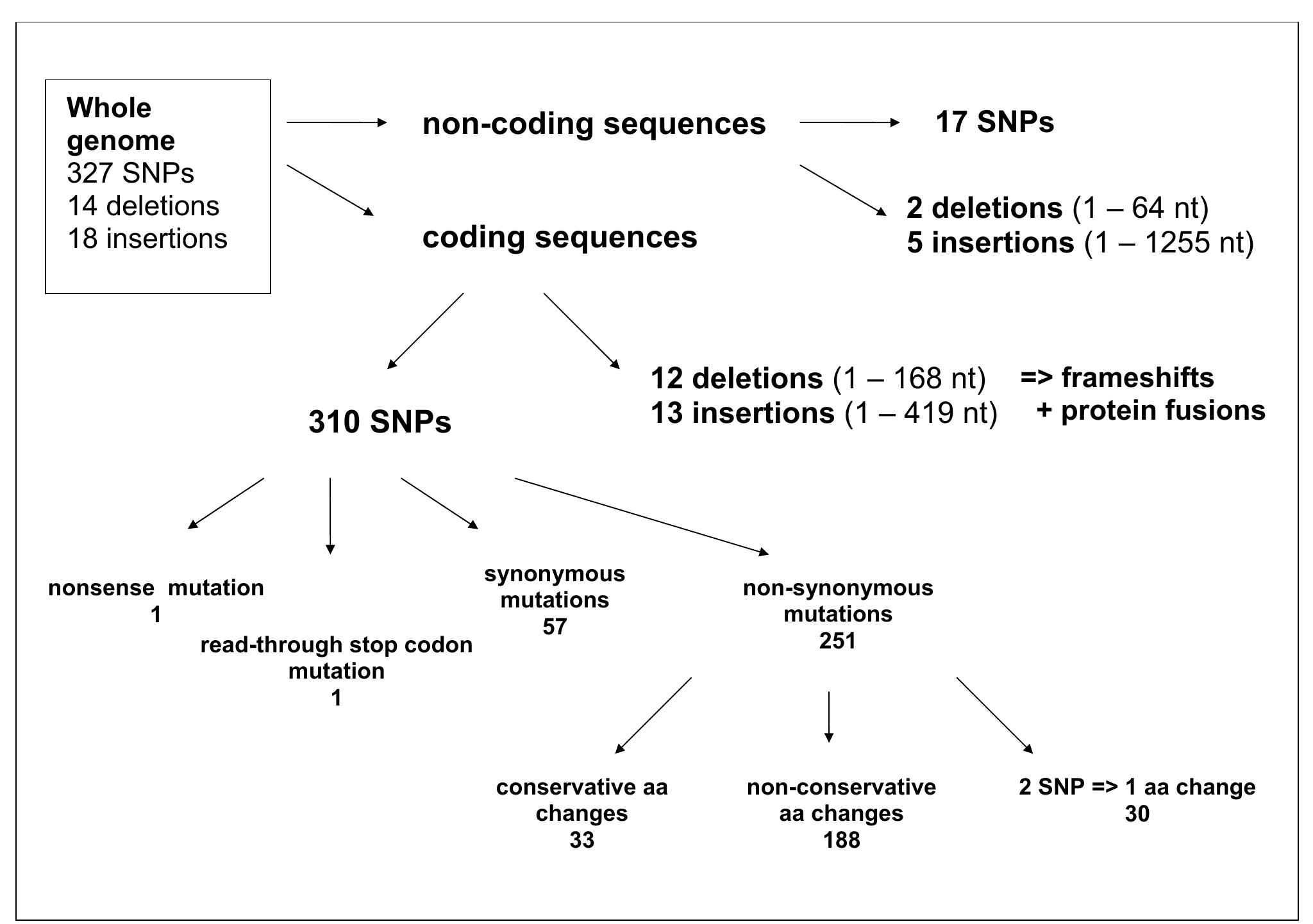 | scheme to identify sequence changes in the ssi4 genome.
