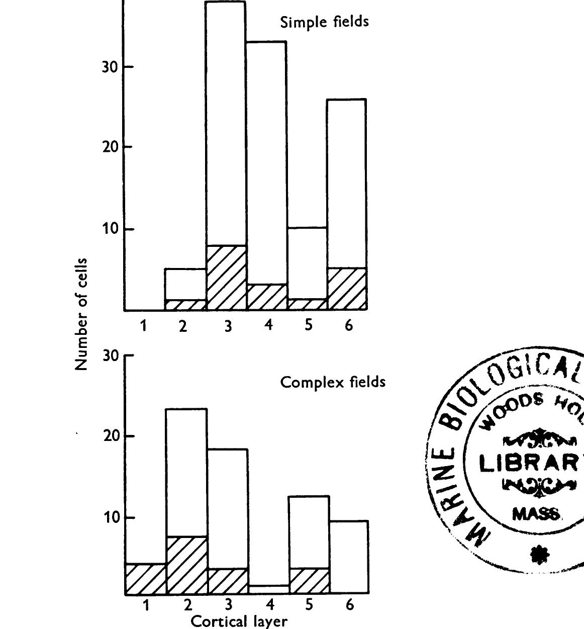 (PDF) Receptive fields, binocular interaction and functional architecture in the cat's visual cortex