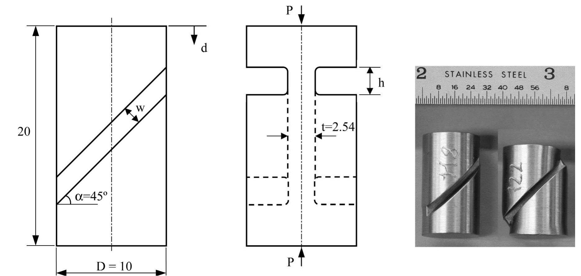 —schematic representation of the scs. all dimensions are in