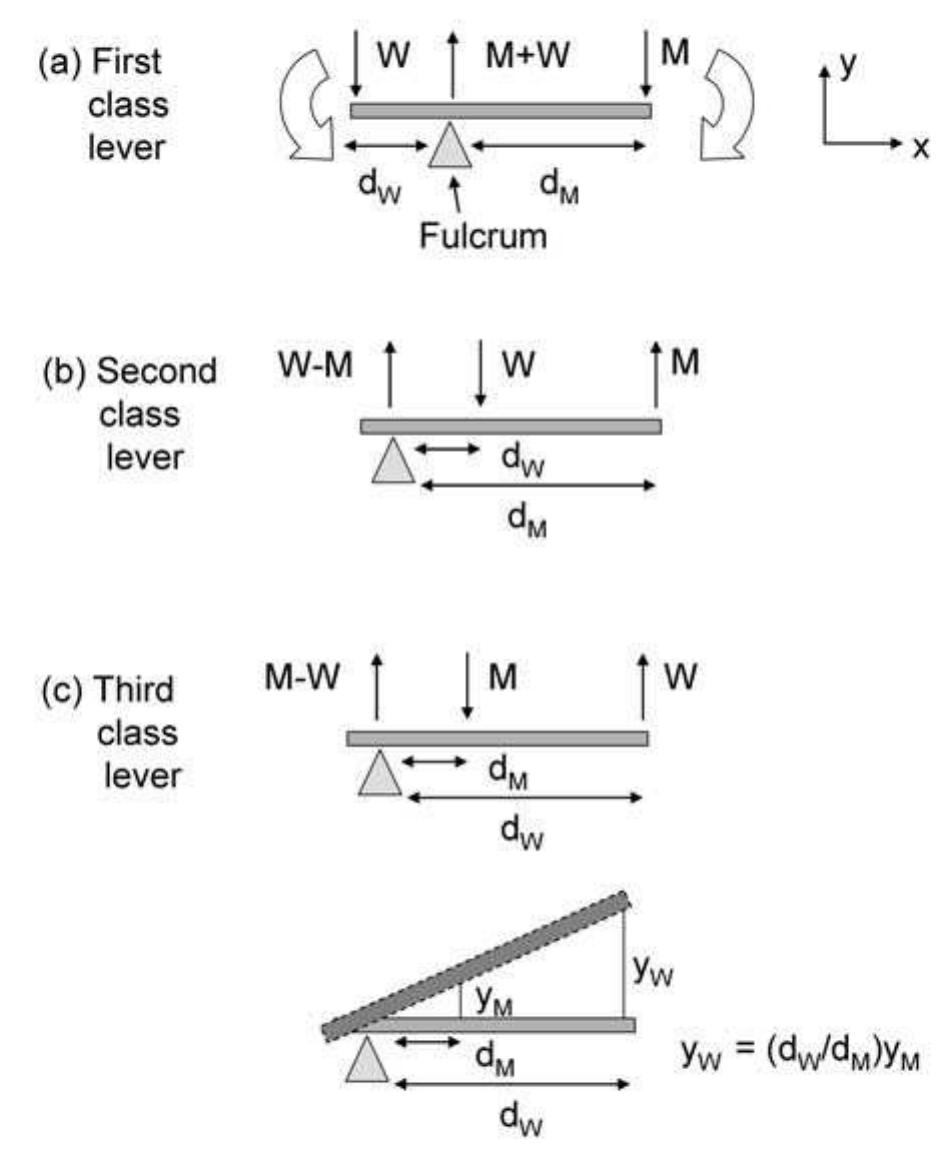 4. three types of levers, (a) first, (b) second, and (c)