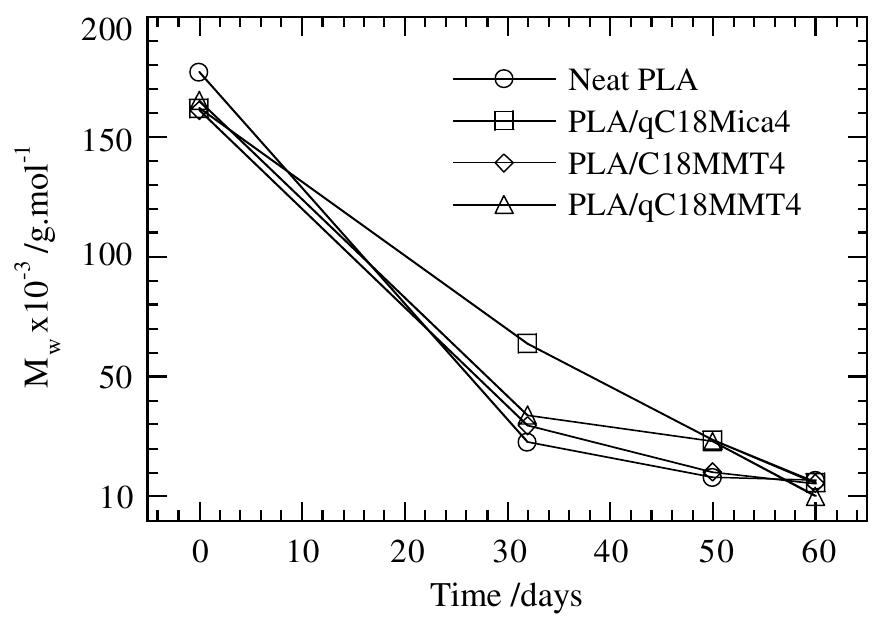 Time-dependent change of matrix m,, of pure pla and