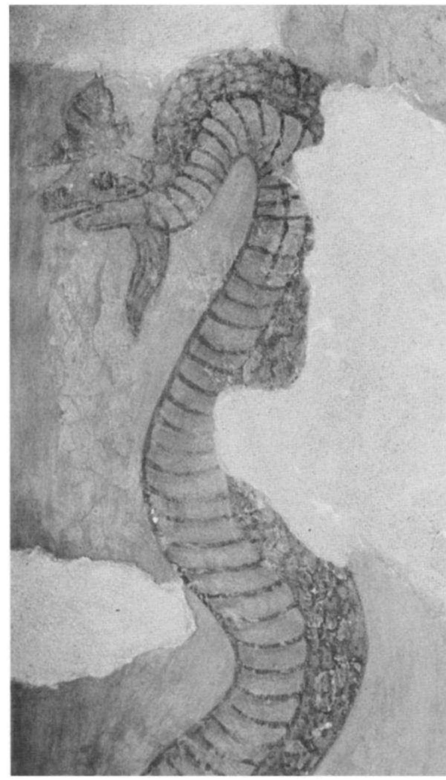 Agathodaimon from right wall flanking door. (photo author)