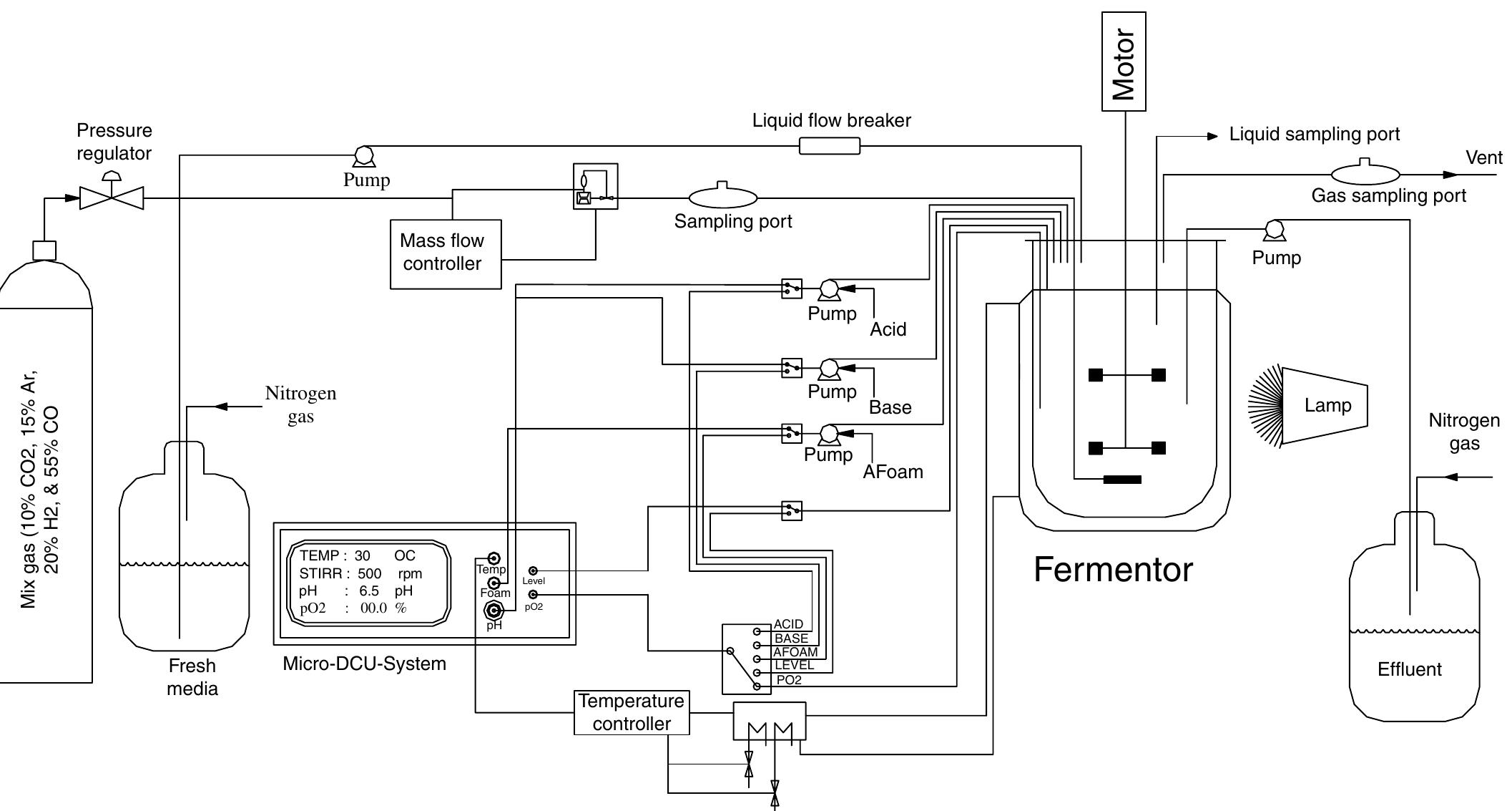 Schematic representation of fermentor vessel and associated