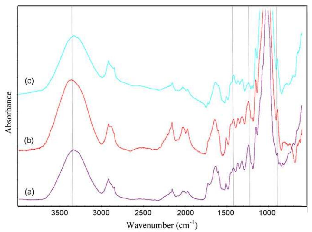 Ftir spectra of (a) untreated bagasse, (b) sodium hydroxide
