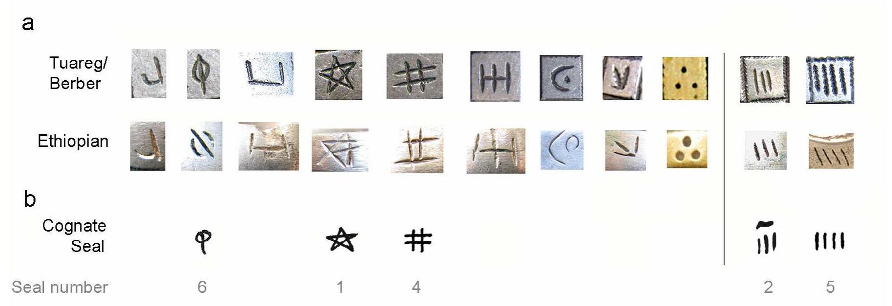 Shared tuareg/berber and ethiopian symbols. (a) distinctive