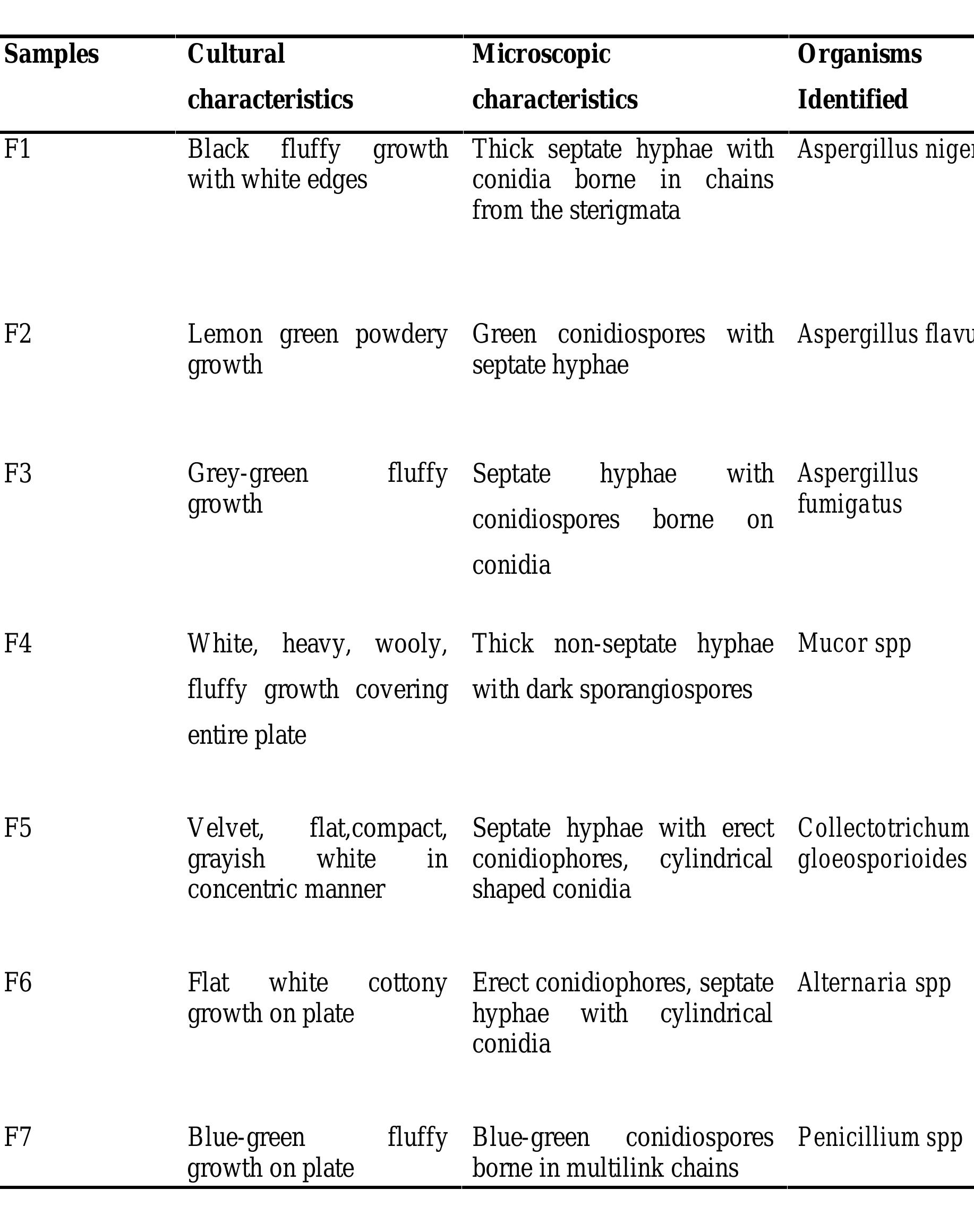 1 cultural and microscopic characteristics of fungi isolates
