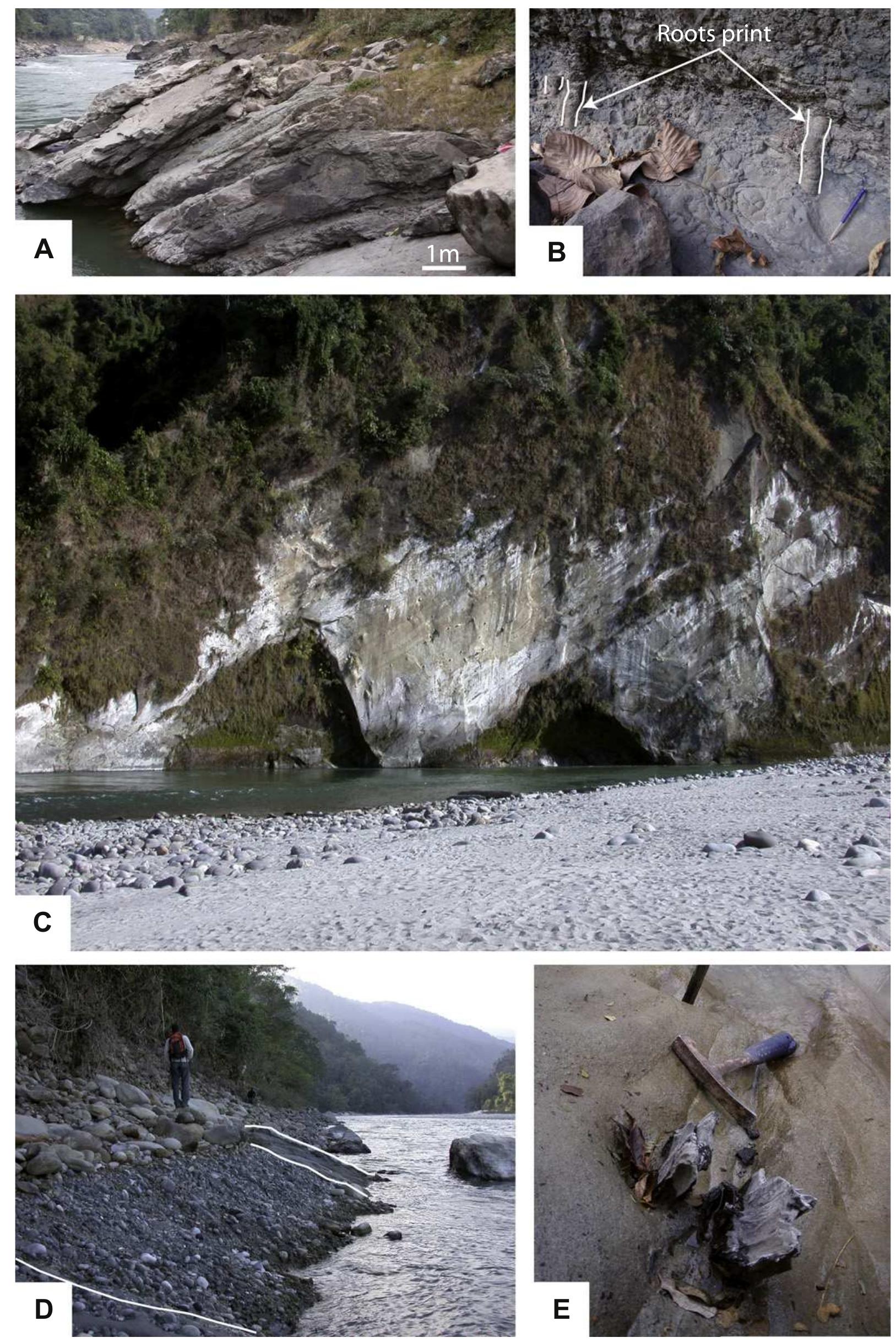Typical sedimentary facies recognized along the kameng