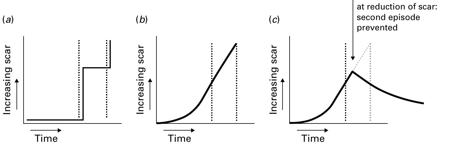 The dichotomous scar model (a) and the continuous scar model