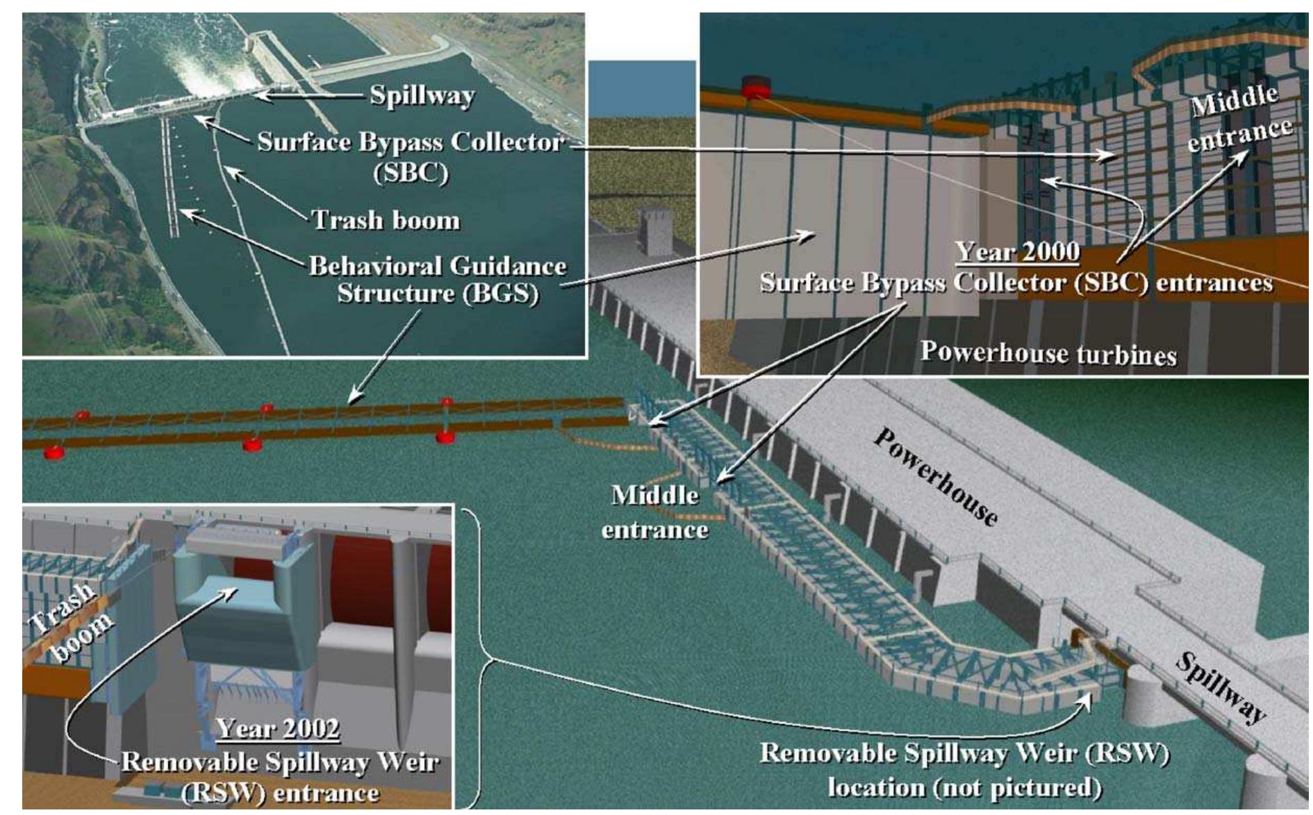Illustration of two different migrant bypass structures at