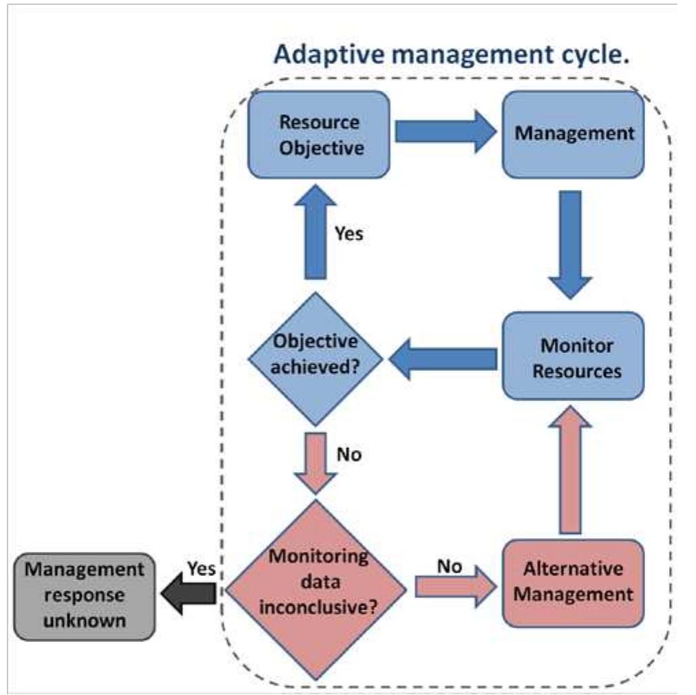 Adaptive management cycle where a monitoring system provides