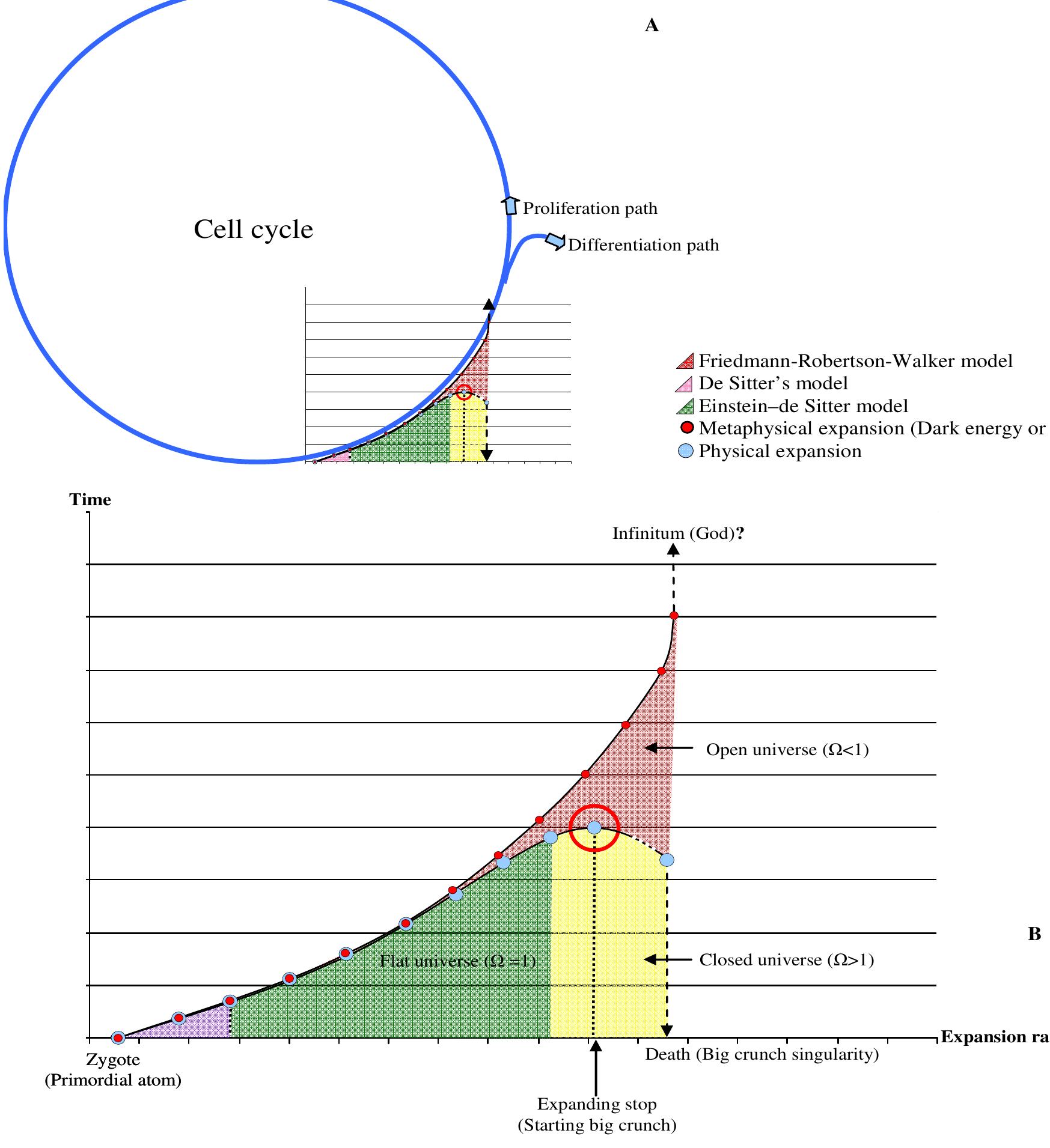 (PDF) The cellular universe: A new cosmological model based on the ...