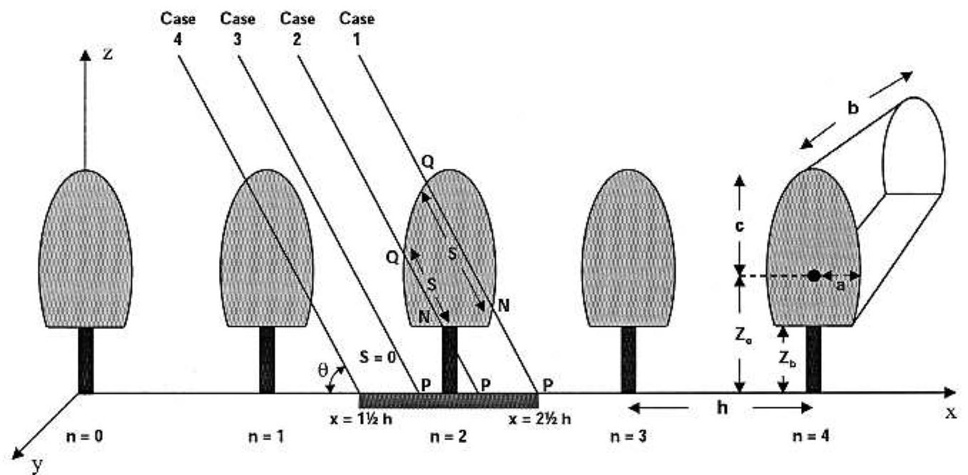 14. simplified ellipsoidal representation of whole tree form