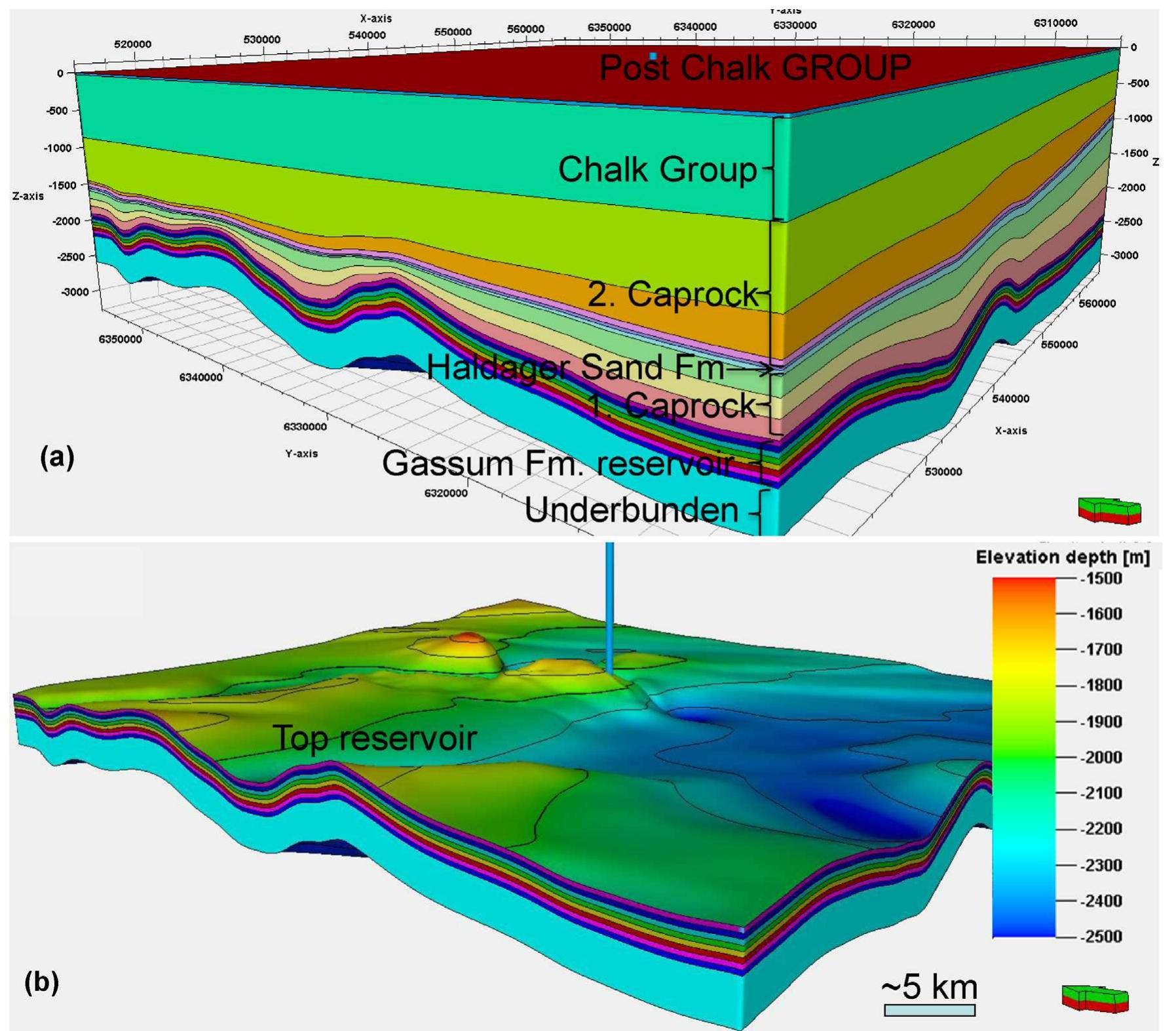 Schematic representation of 3d cross-section of the model