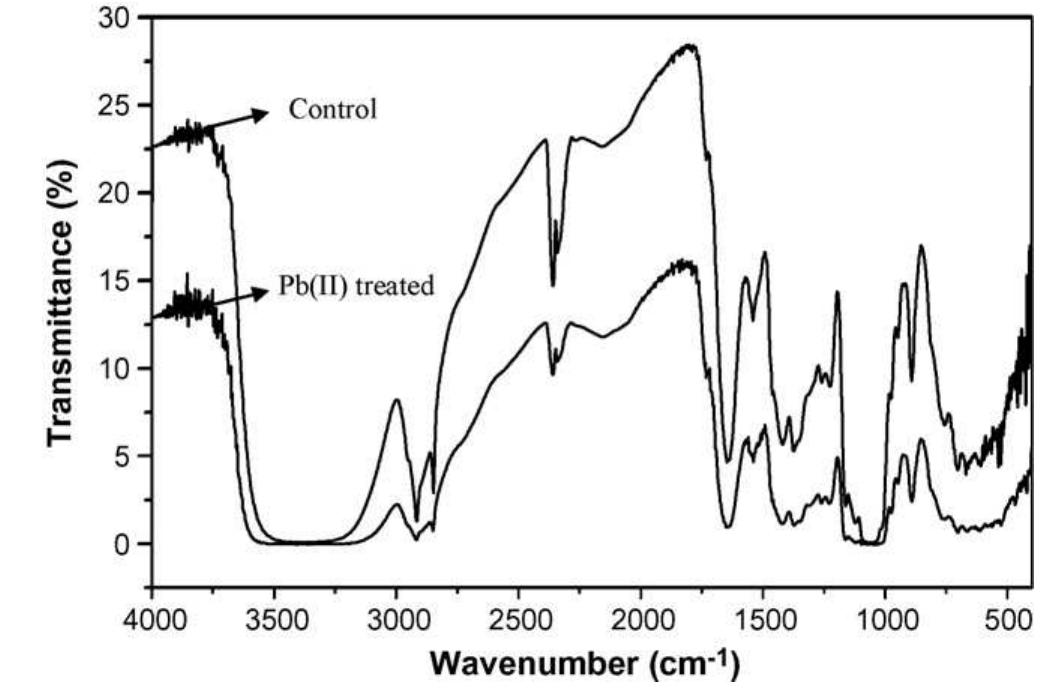 Ftir spectra of spsp control and after pb(ii) sorption.