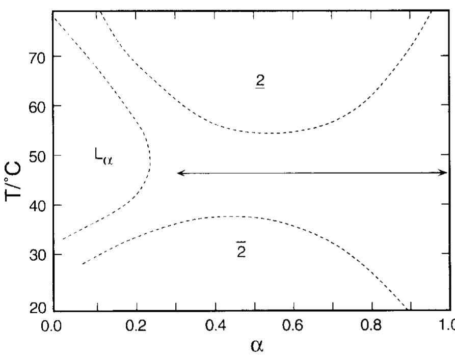 Partial phase diagram of aqueous brine/aot/decane reverse