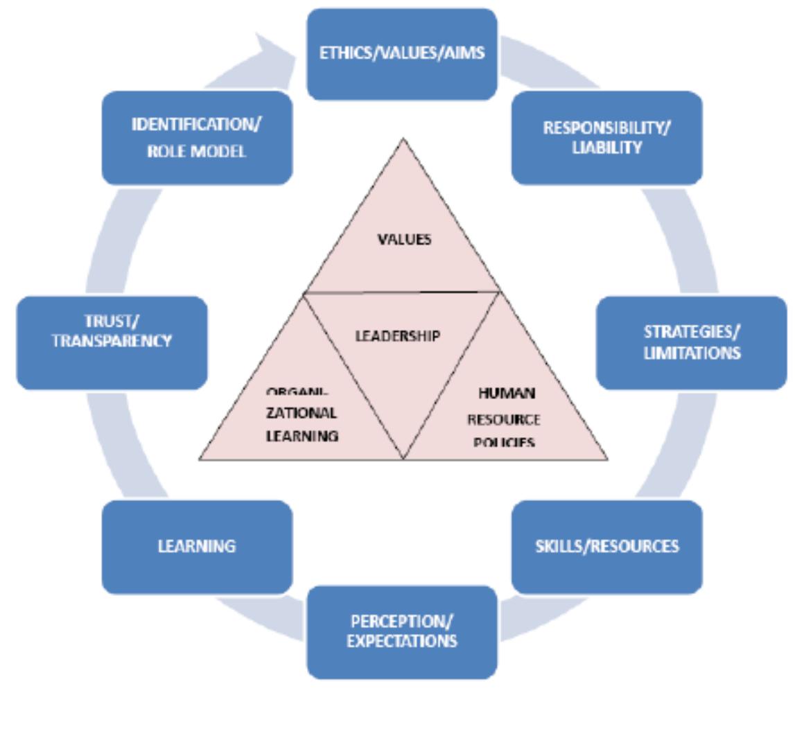 Cultural frames of reference for risk management risk