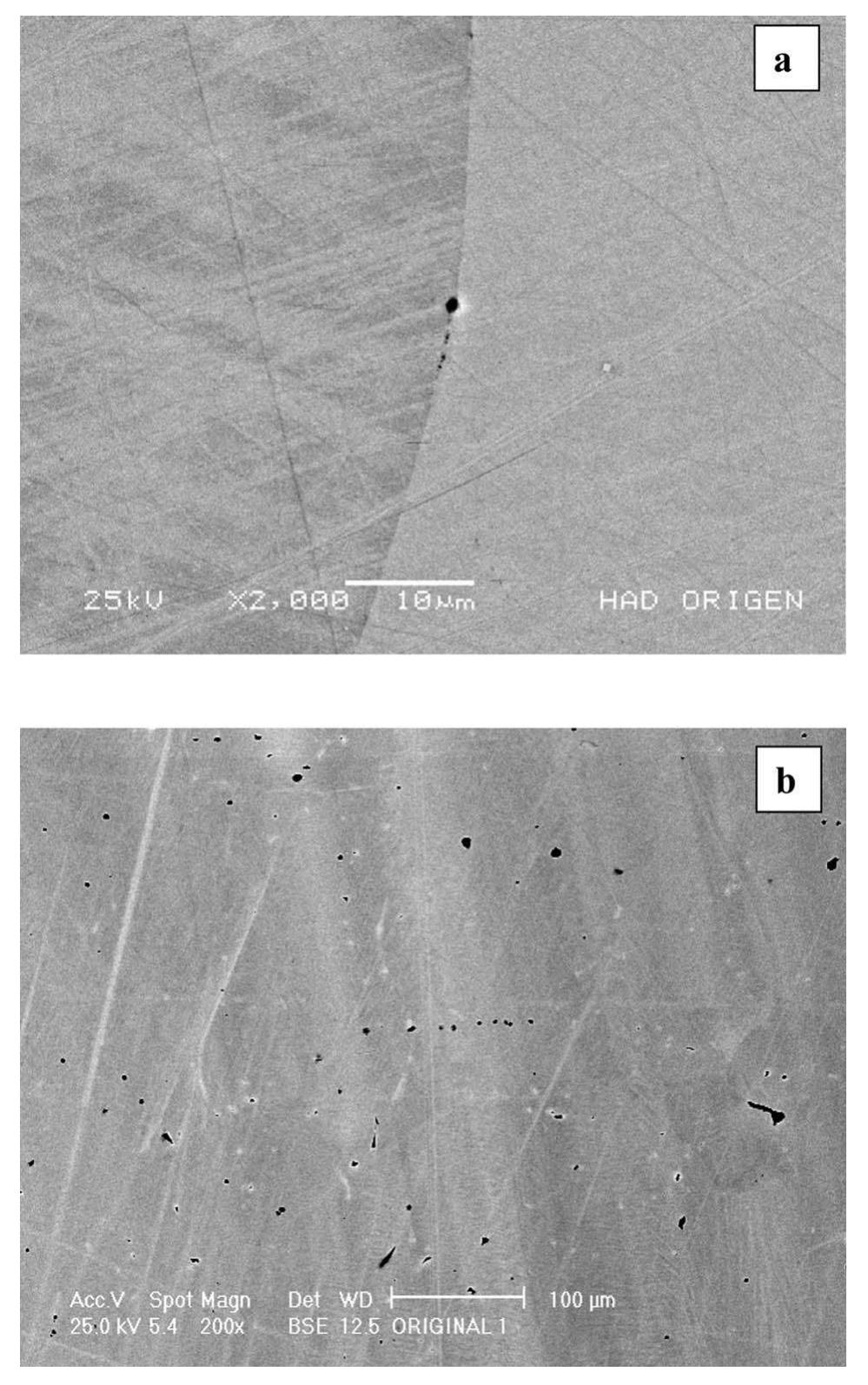 a) and (b) show sem images of the homogenized sample,