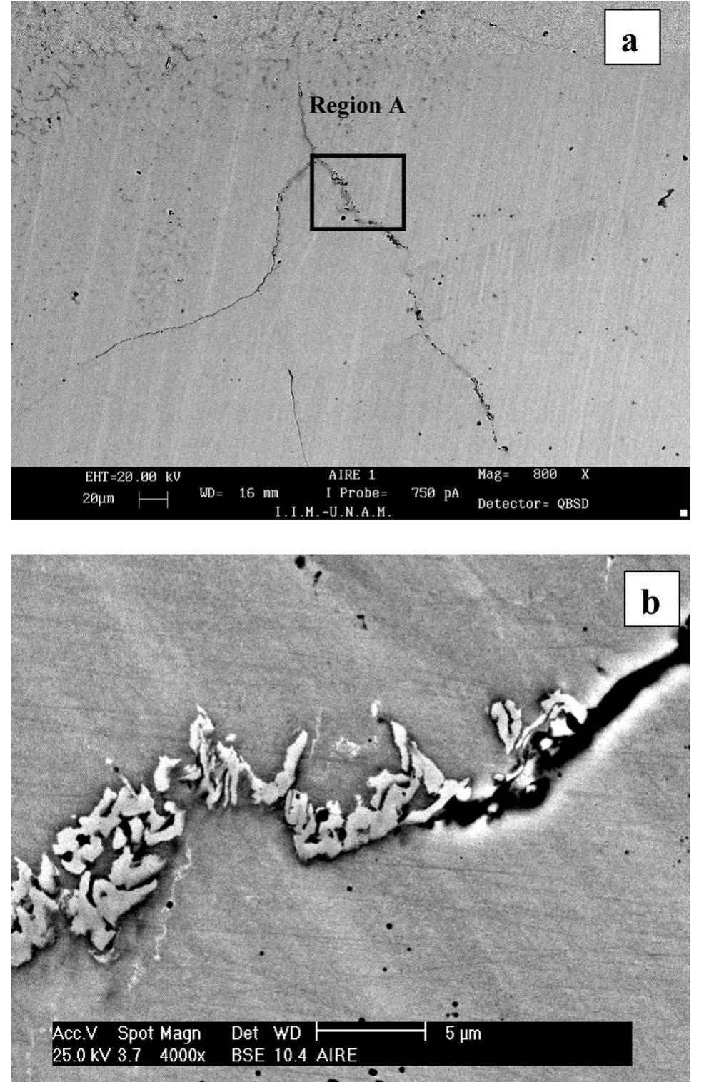 a) and (b) show the sample cooled in air quite. region a