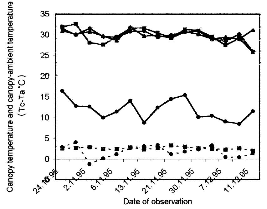 Canopy temperature (7.), canopy temperature —ambi- ent