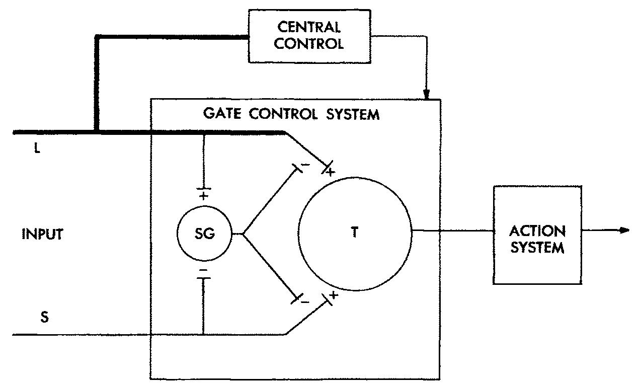 Schematic diagram of the gate control theory of pain