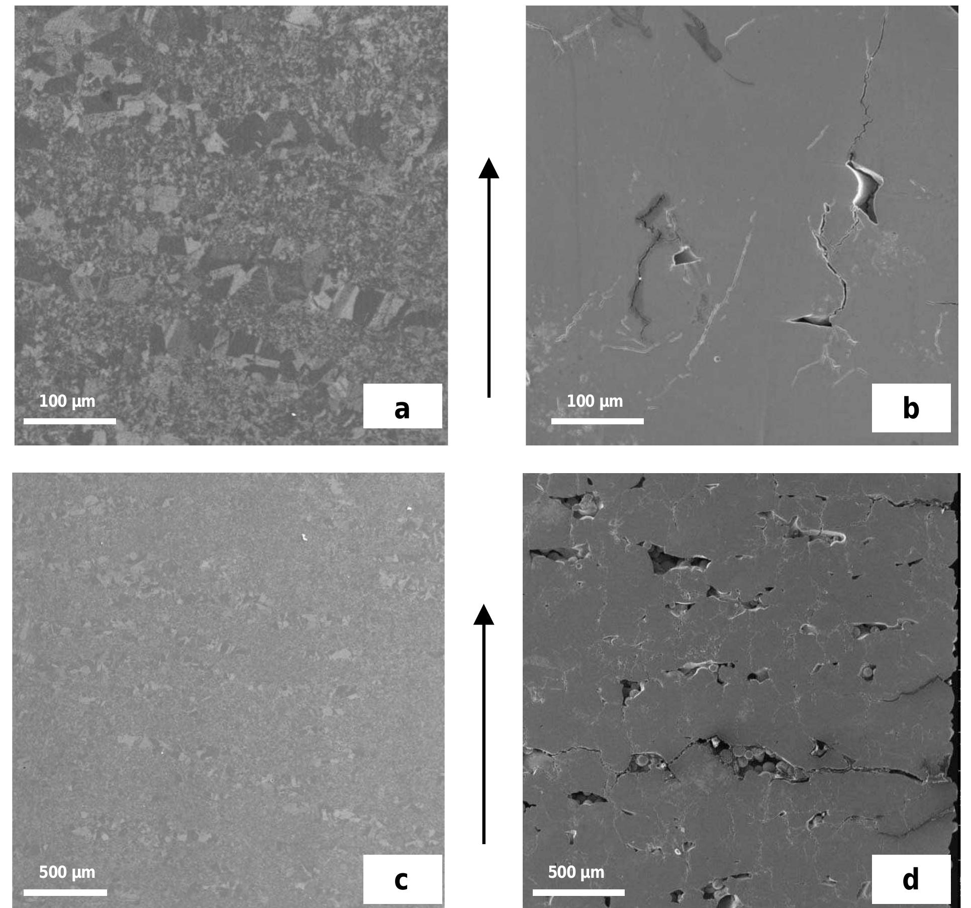 Sem picture of the microstructure of one of the a) ebm