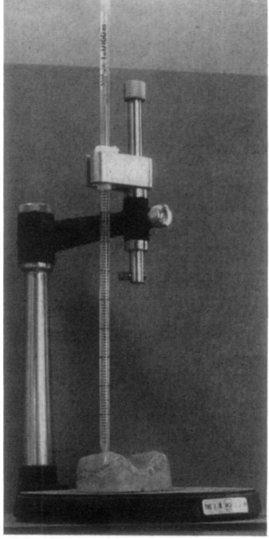 —a master cast with the processed denture still in place and