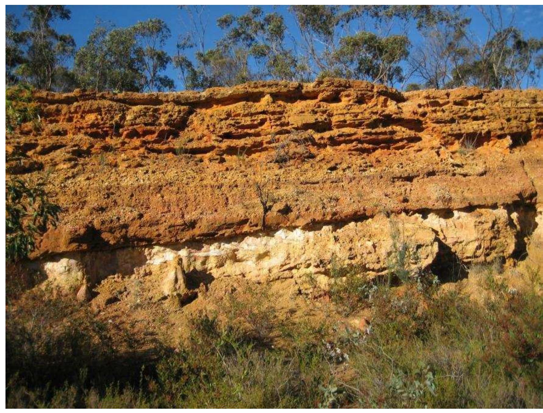 A geological unconformity in sedimentary layers, chapel hill