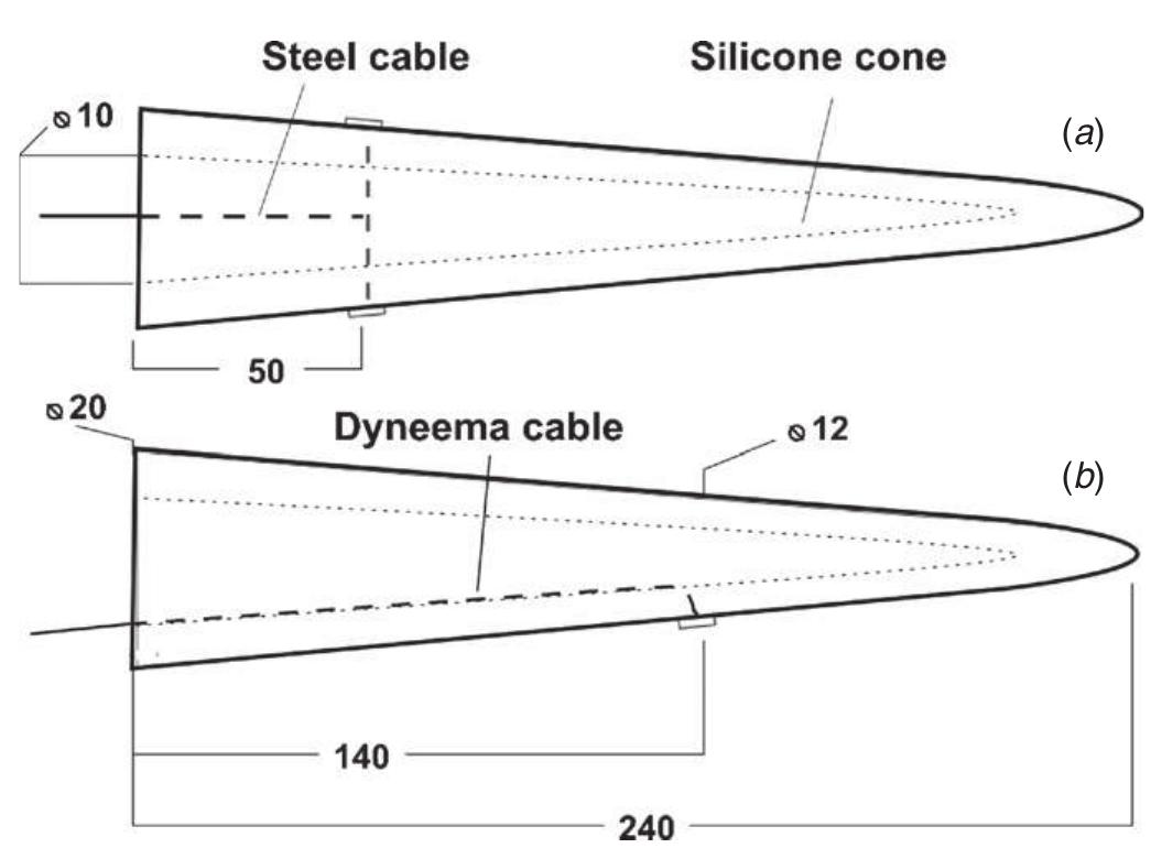 Dimensions (in mm) and internal structure of the soft limb.