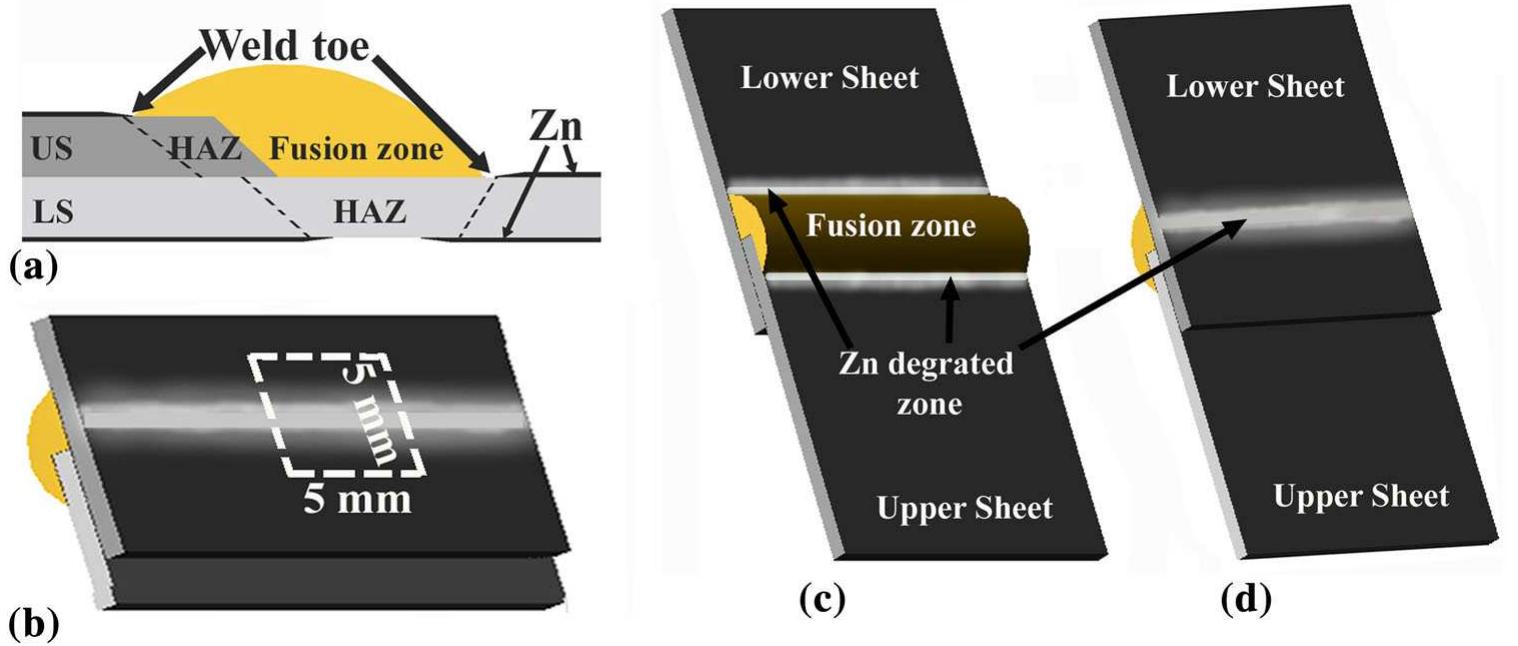 Schematic diagram of (a) the joints (cross-sectional view);