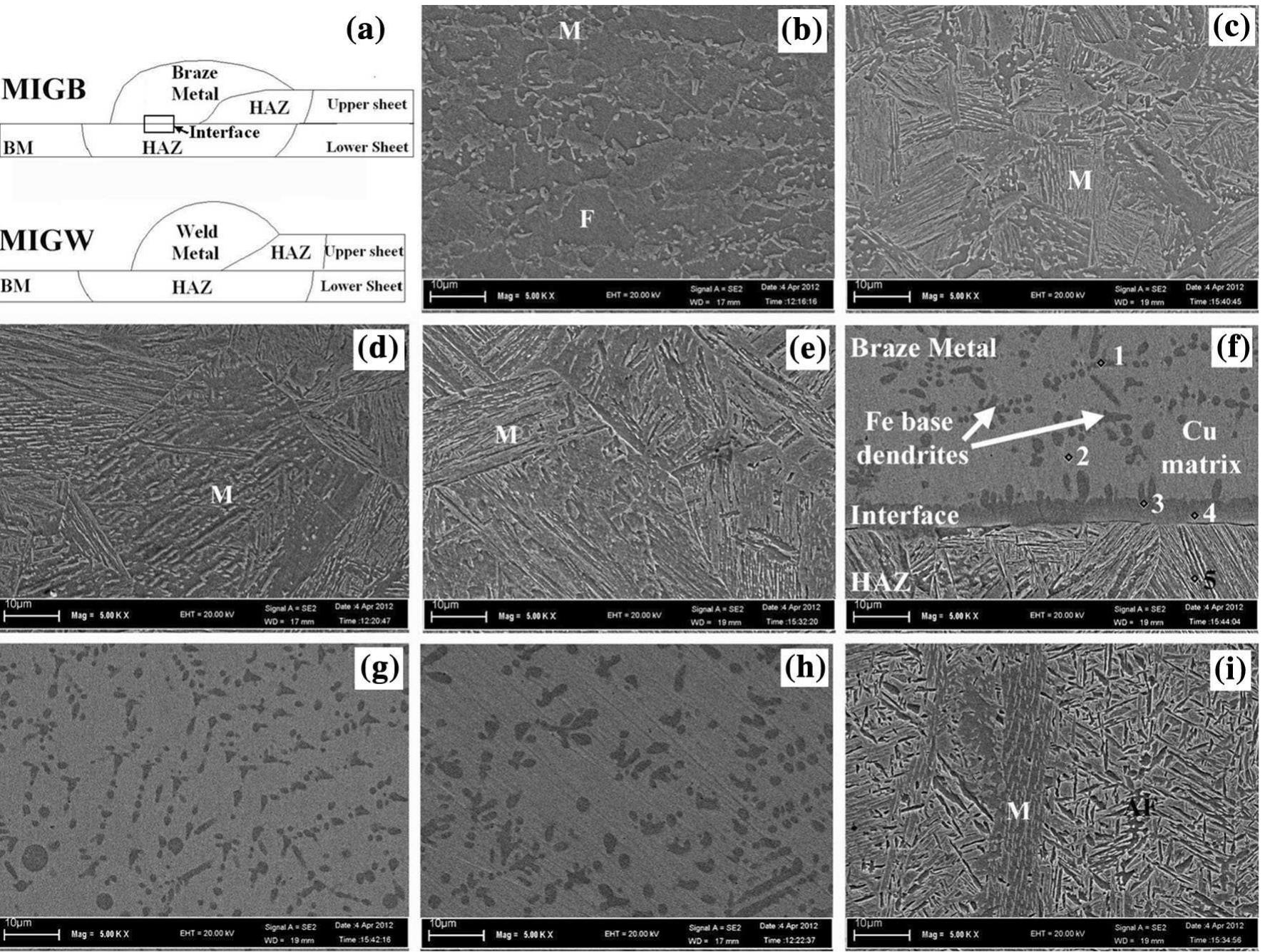 (a) schematic diagram of the joints; fesem micrographs of