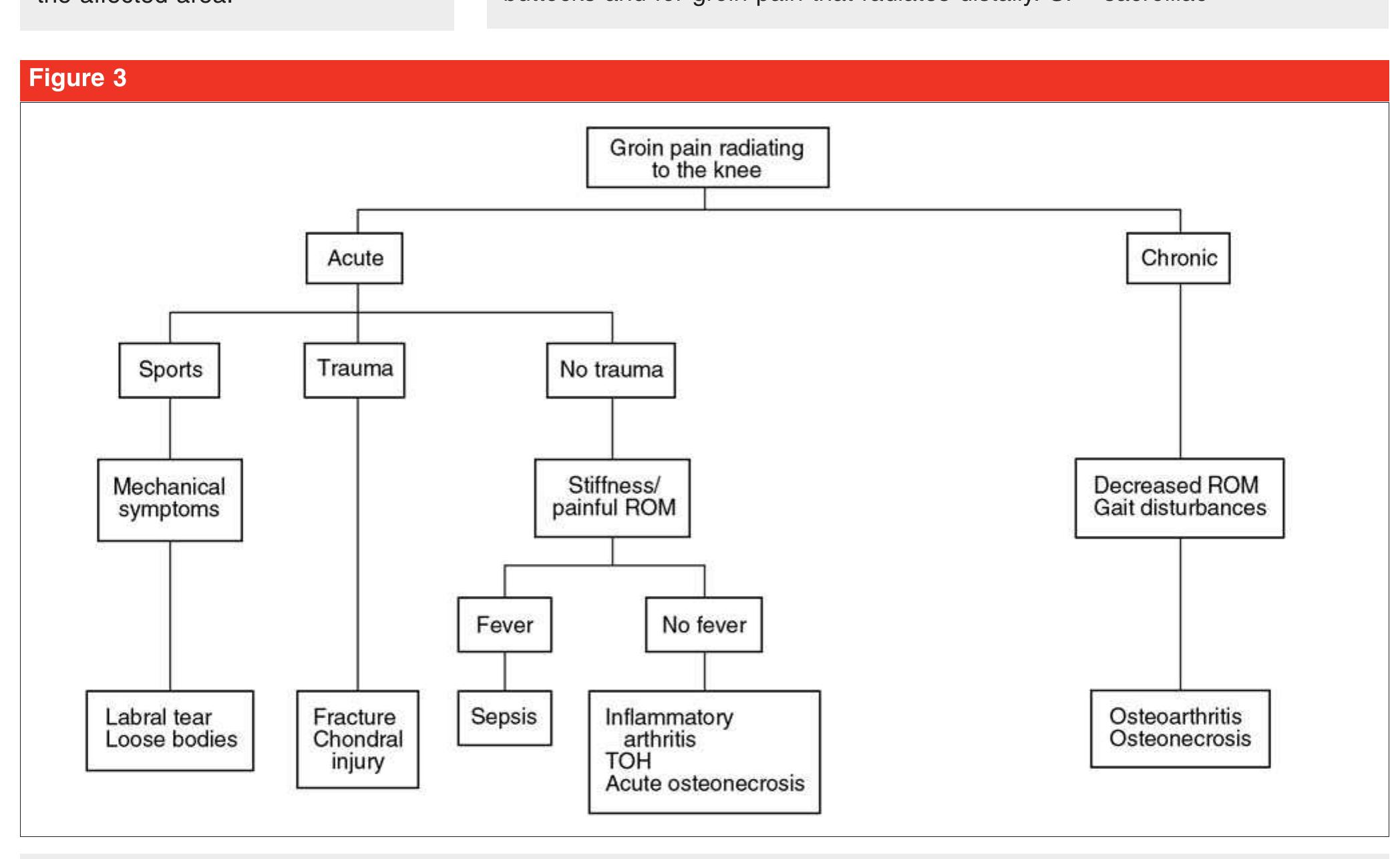 Algorithm for the differential diagnosis of groin pain