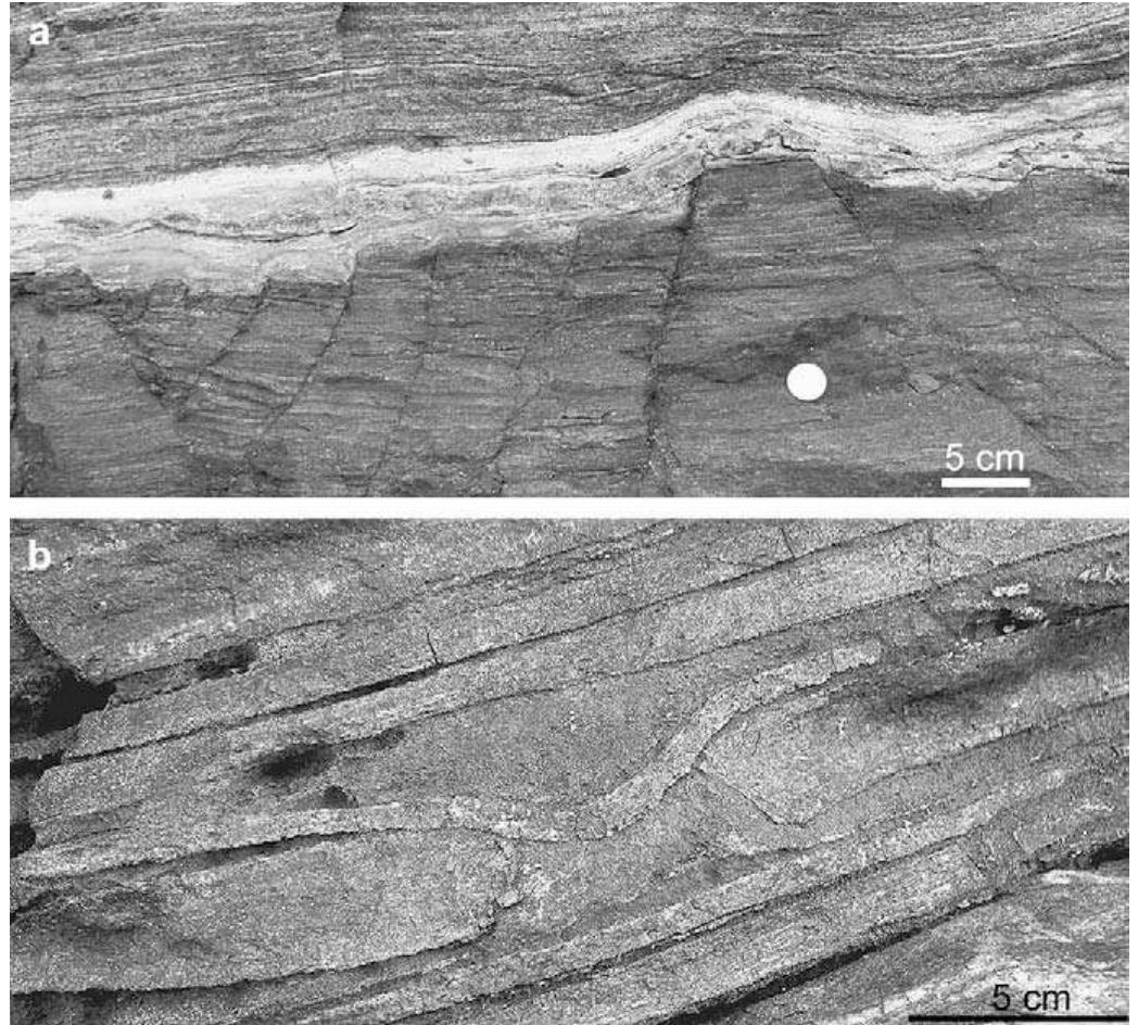 Examples of different fracture types in the competent units.