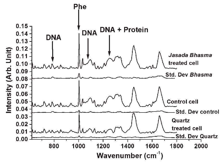 The raman spectrum from control, jasada bhasma, and