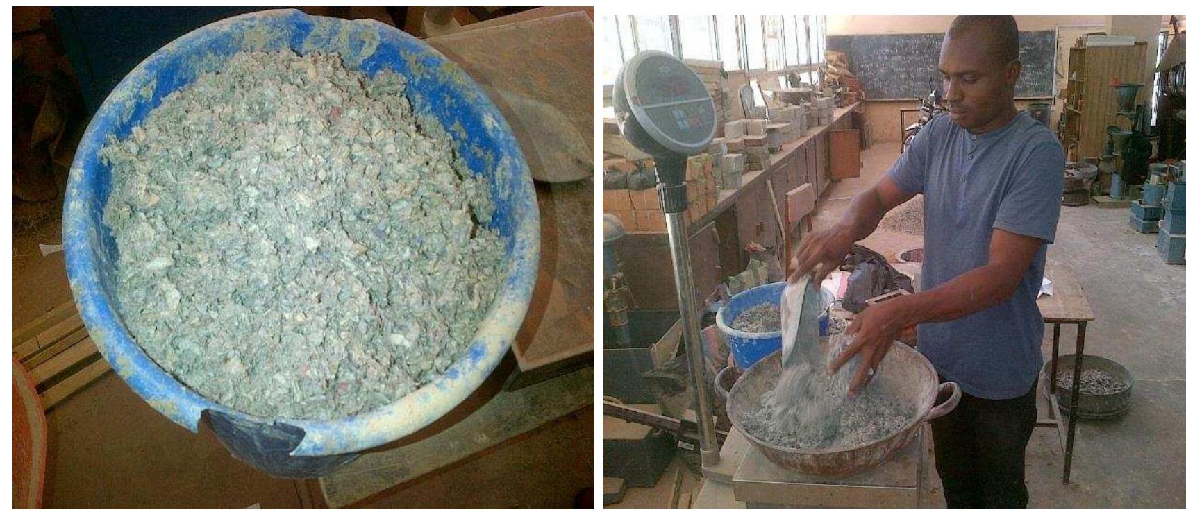 Plate iii sample of graded paper plate iv weighting of paper