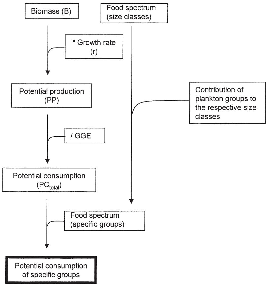 |. flow chart for calculation of the potential consumption