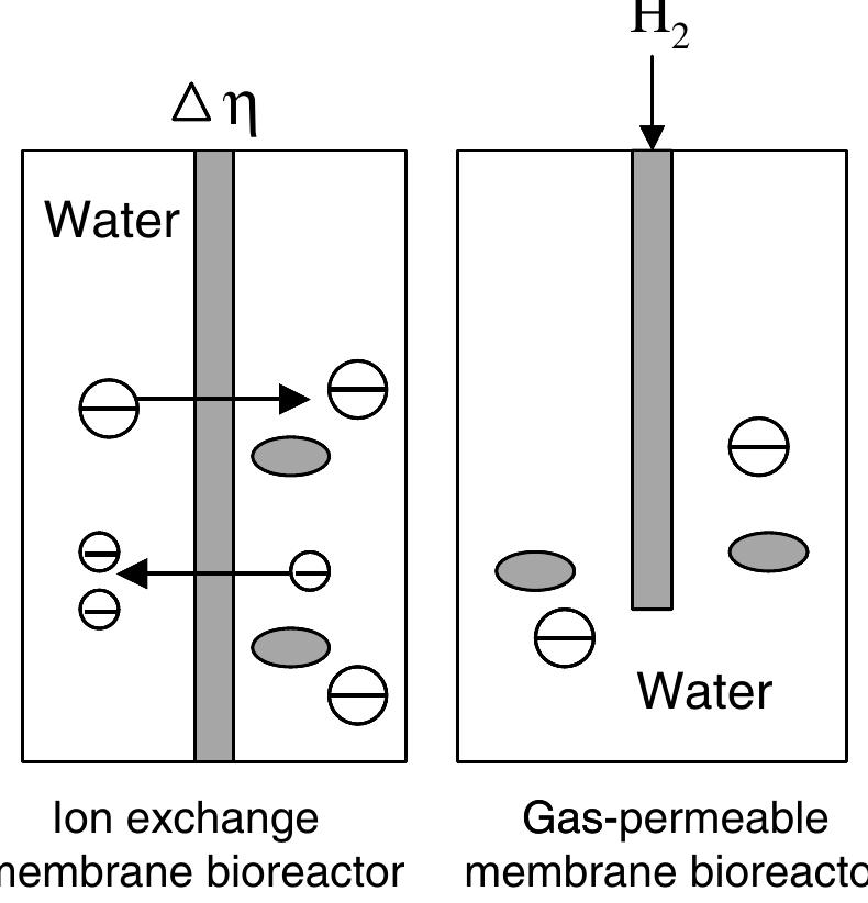 Membrane bioreactor configurations. ap — pressure diffence;