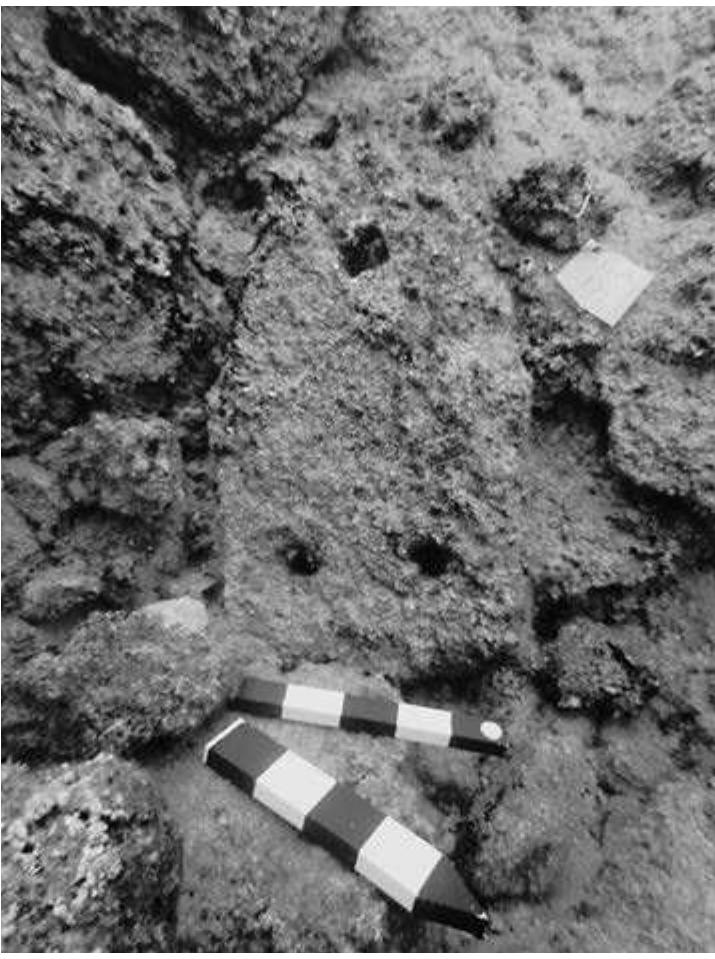 , aga18 three-holed stone anchor. fig. 5. fg21 three-holed