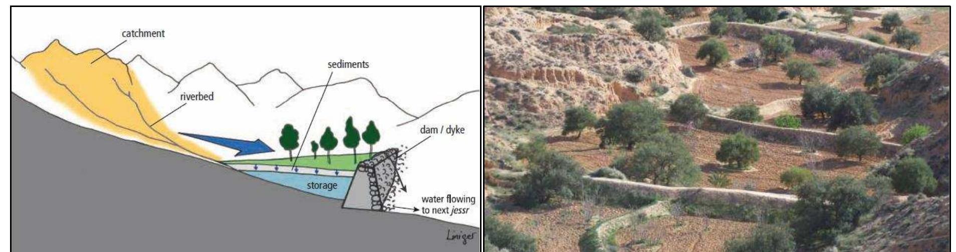 Schematic diagram of the working principles of riverbed