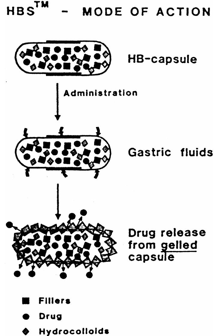 Working principle of the hydrodynamically balanced system