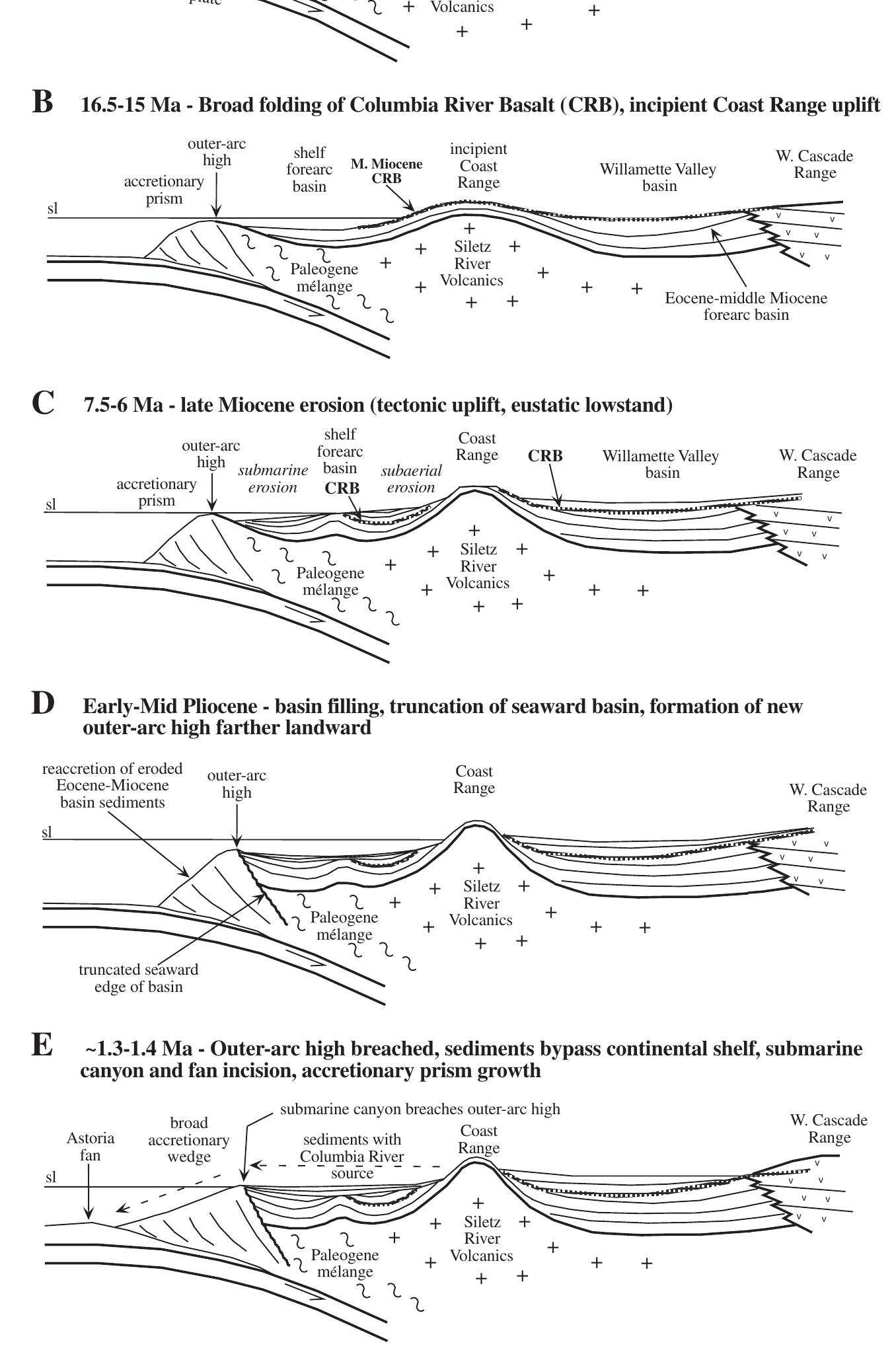 Neogene tectonic history of the central cascadia forearc